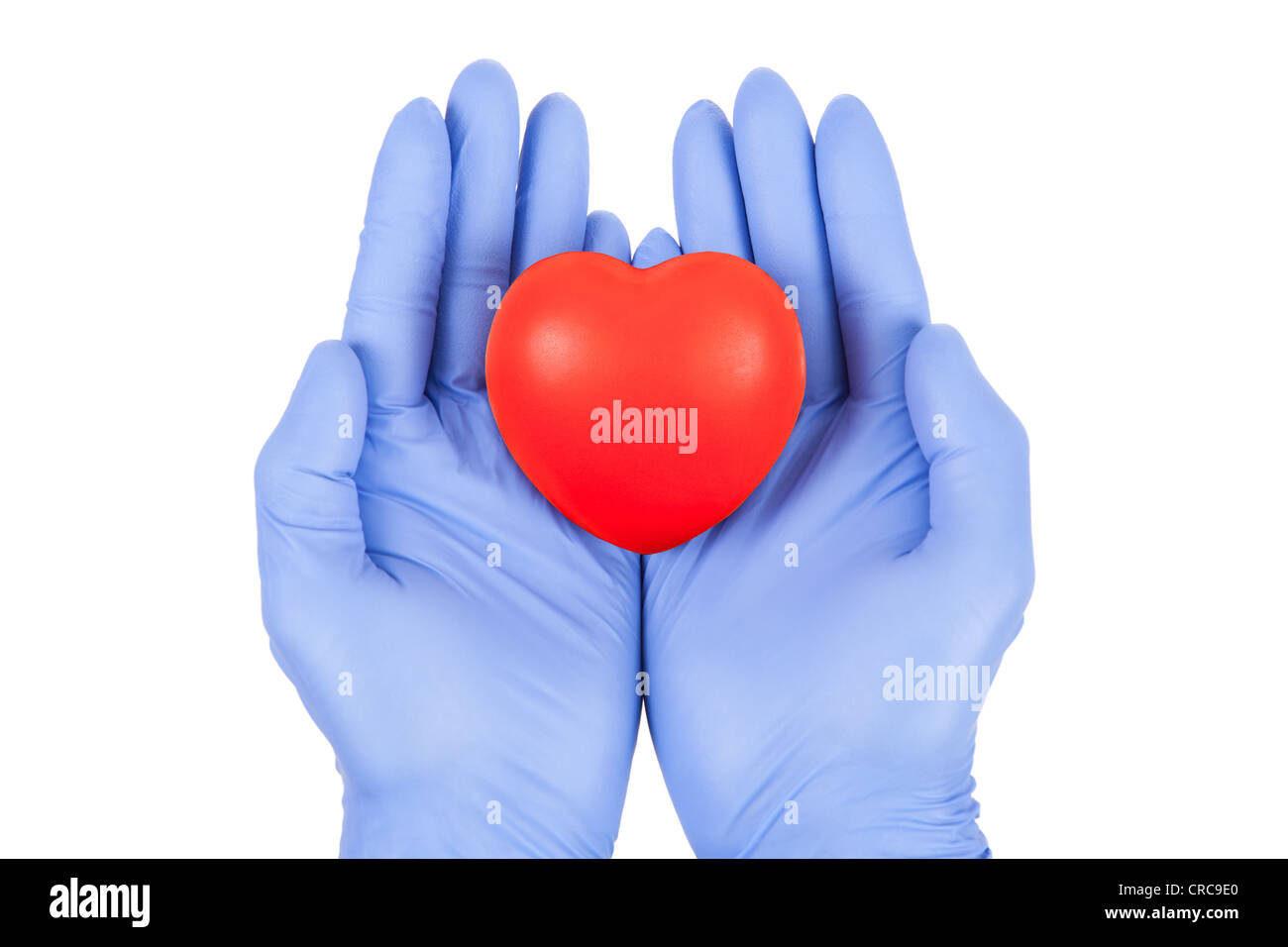 Doctor holding heart in his hands - studio shot Stock Photo - Alamy
