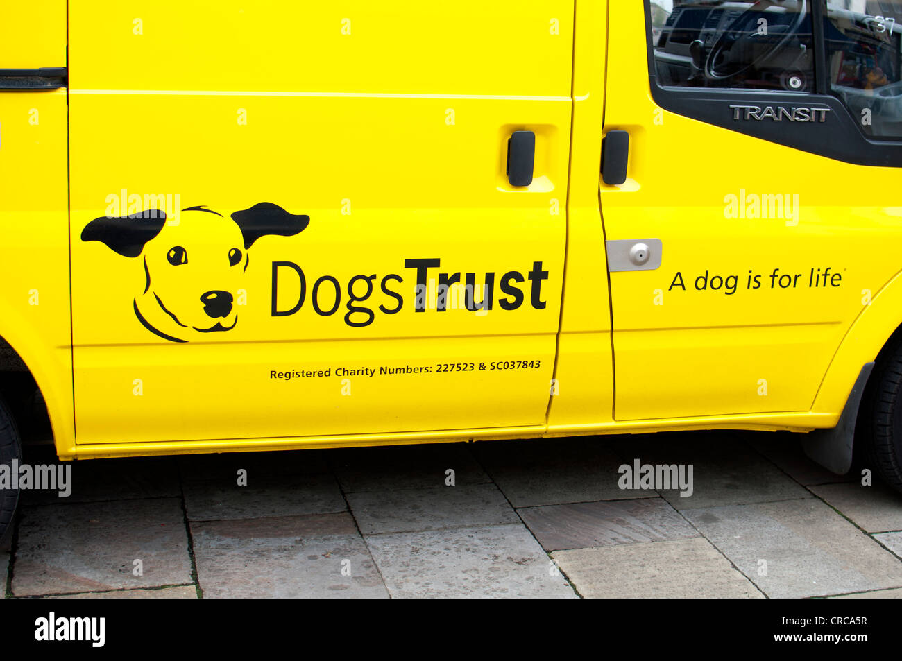 What Are The Aims Of Dogs Trust
