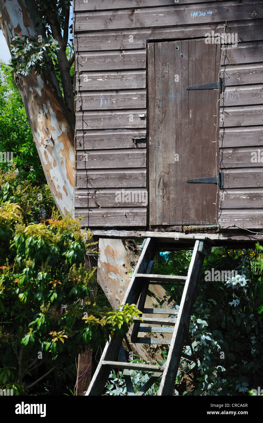Treehouse hut steps ladder hi-res stock photography and images - Alamy