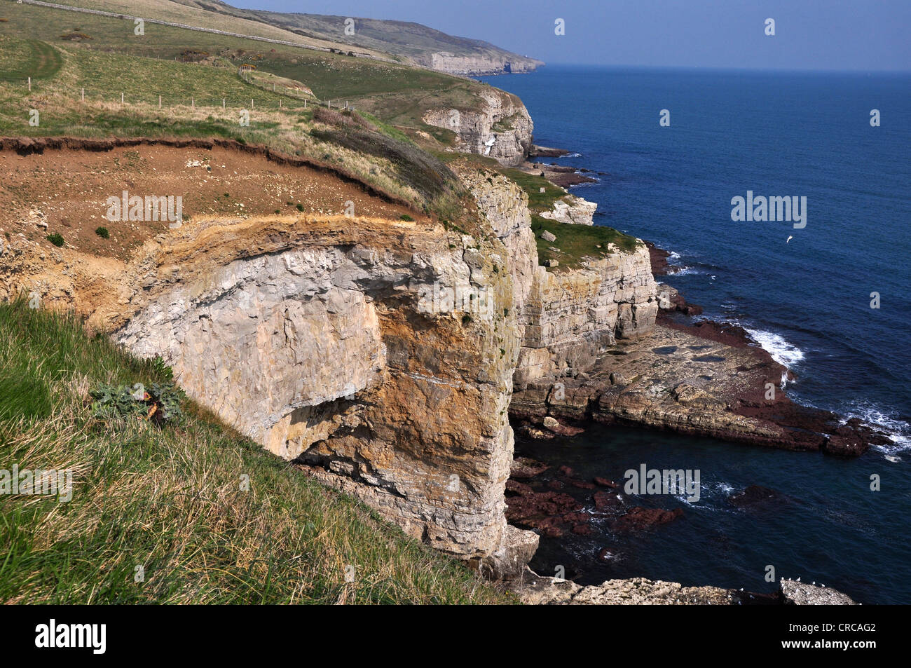 Seacombe cliff hi-res stock photography and images - Alamy