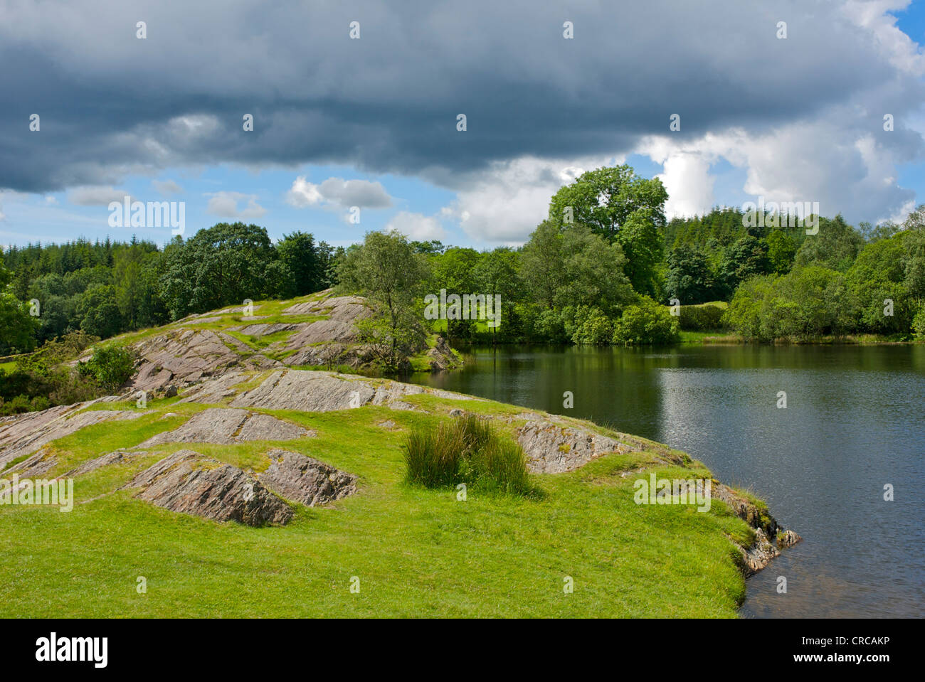 Moss Eccles Tarn on Claife Heights, Lake District National Park ...