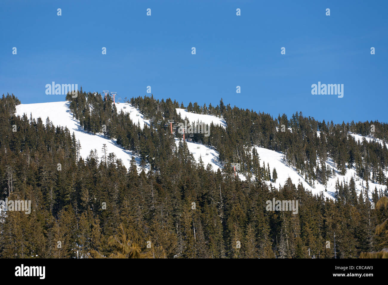Mt washington alpine resort hi-res stock photography and images - Alamy
