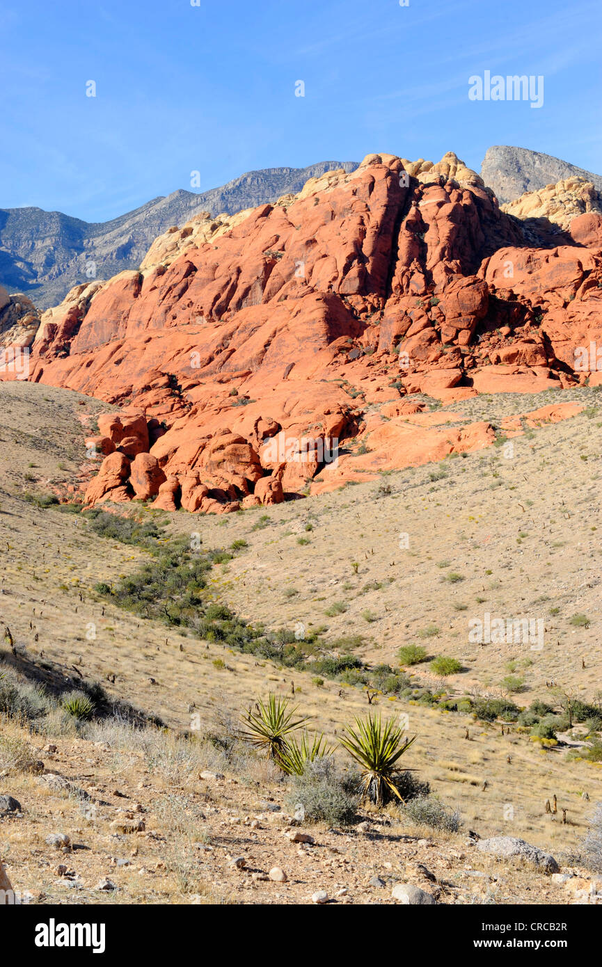 Red Rock Canyon Conservation Area Las Vegas Nevada Stock Photo - Alamy