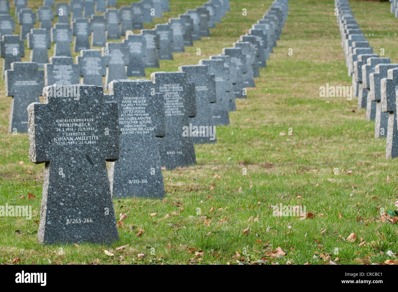 Lines of gravestones on WWII military cemetery in Hunkovce, Slovakia ...