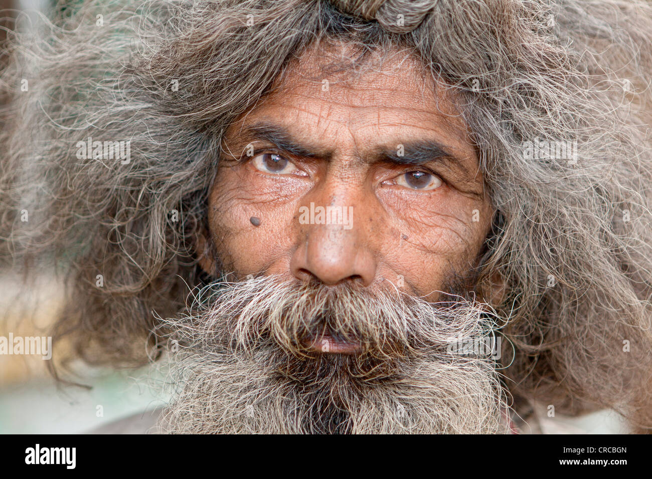 Hirsute hi-res stock photography and images - Alamy