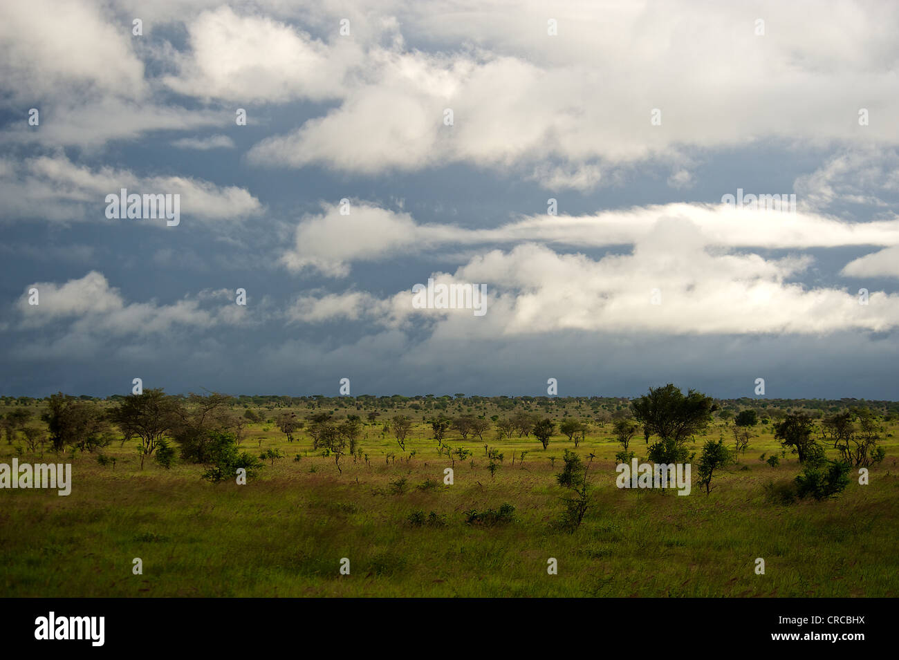 Amazing landscape of Kenya after rain Stock Photo - Alamy