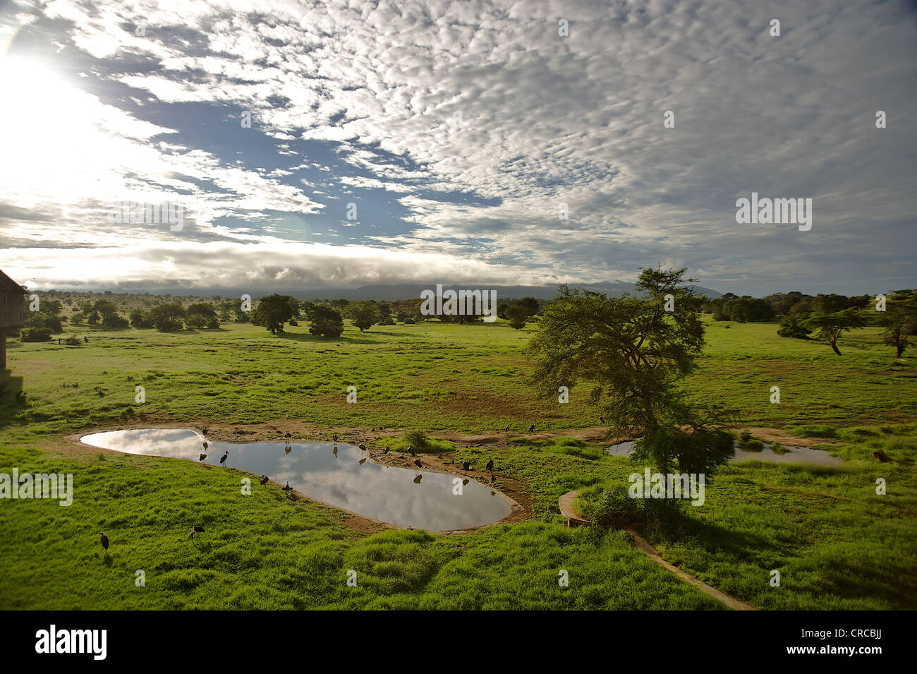Beautiful Kenyan Landscape Stock Photo - Alamy