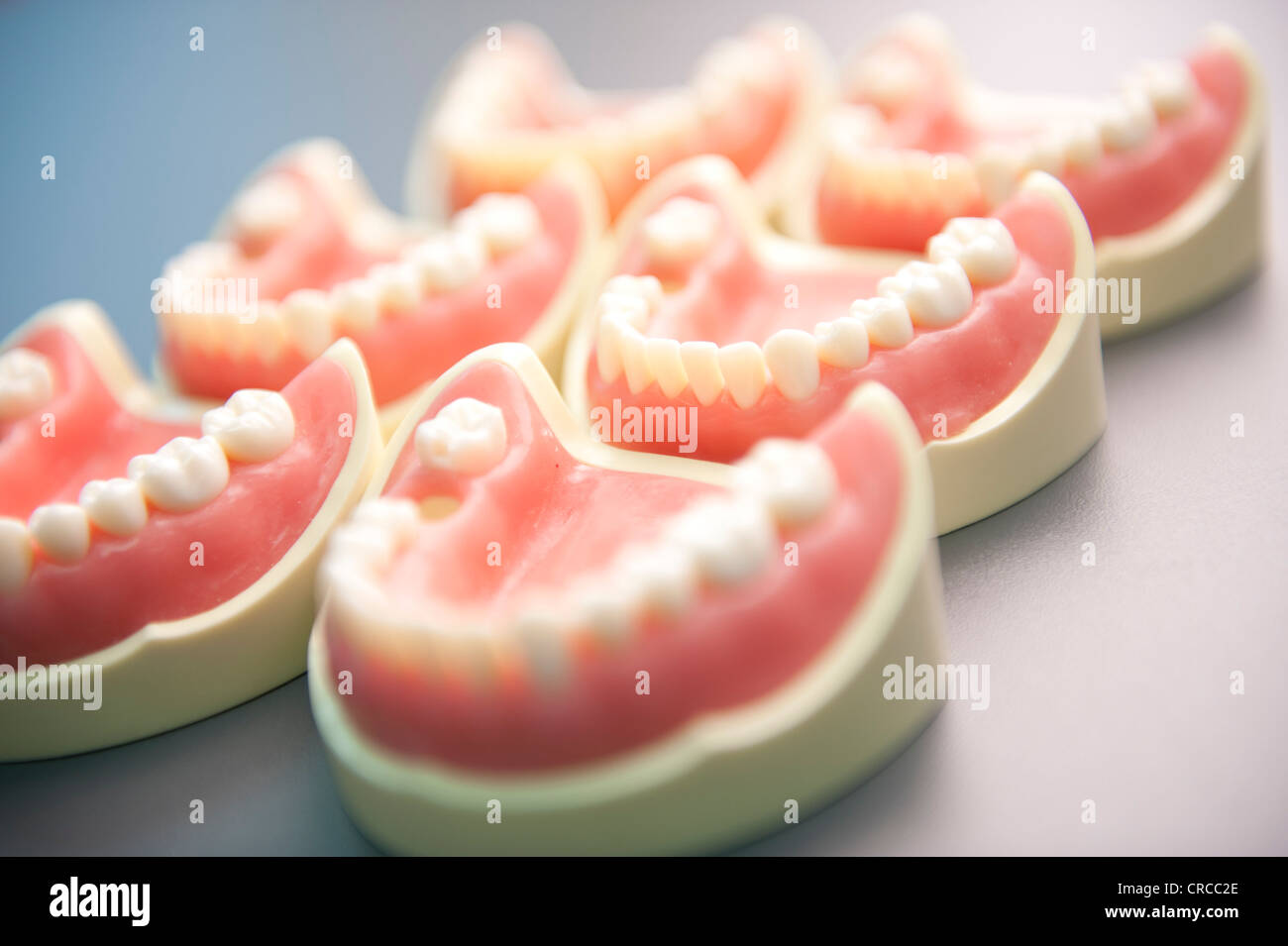 teeth tooth dental fake models Stock Photo - Alamy