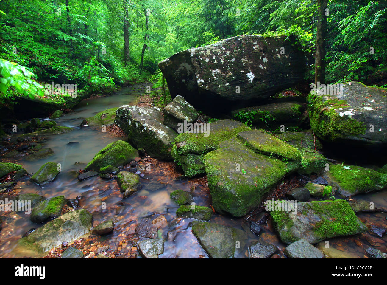 Tranquil Creek Scene in Alabama Stock Photo - Alamy