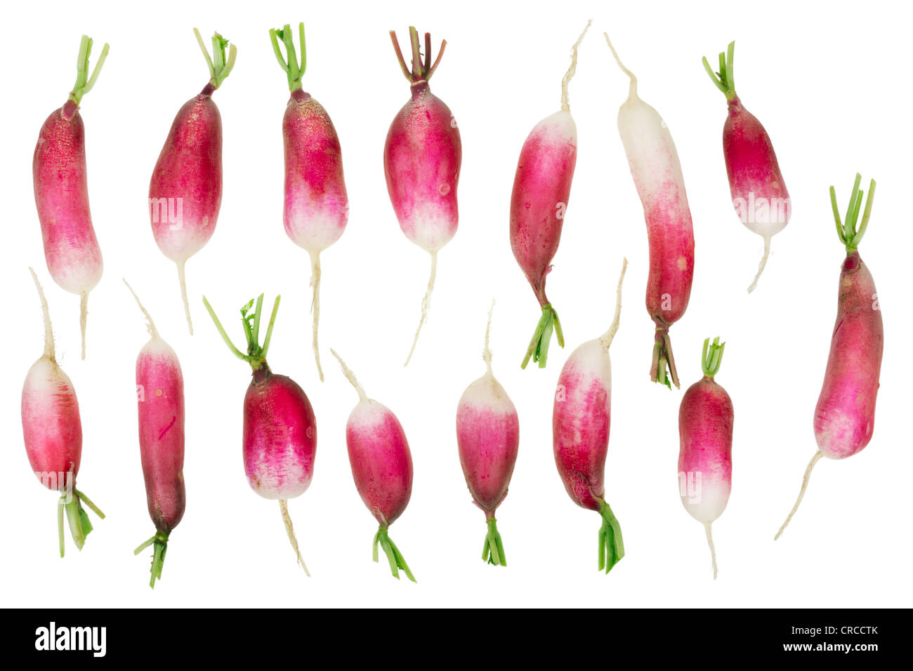 Root vegetables- spring radishes isolated set Stock Photo - Alamy