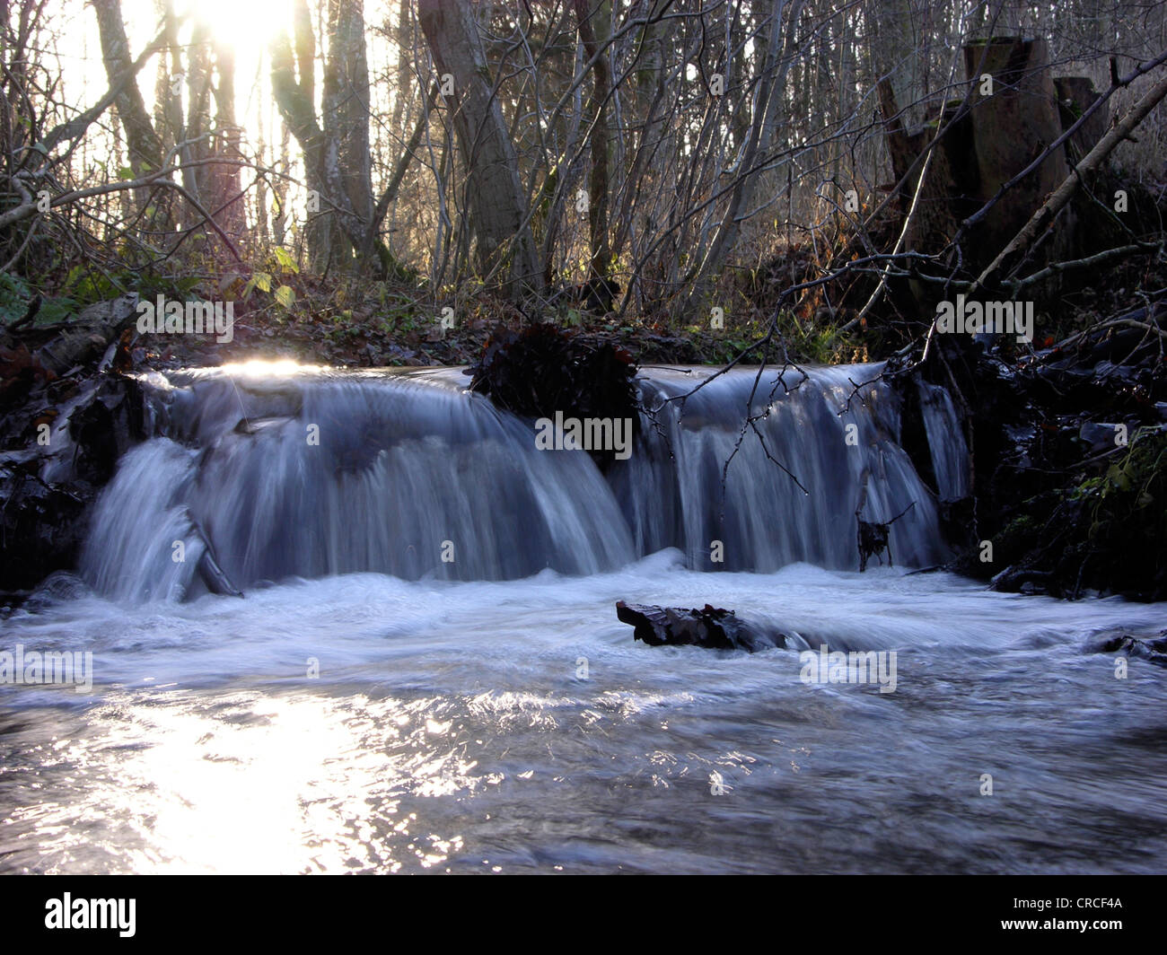 waterfall in forest, Denmark, Baek Stock Photo - Alamy