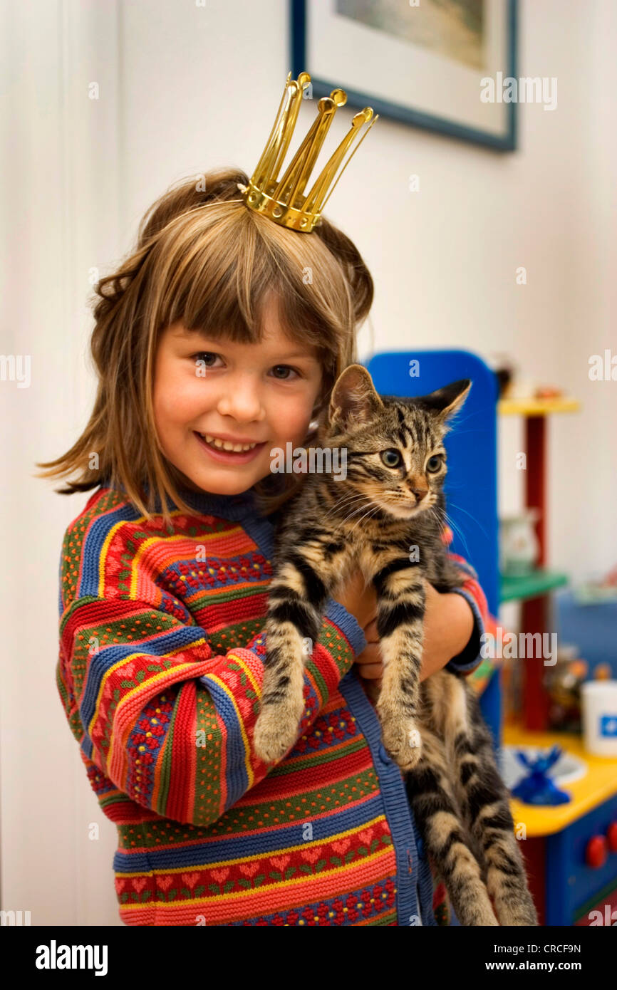 domestic cat, house cat (Felis silvestris f. catus), little girl with ...