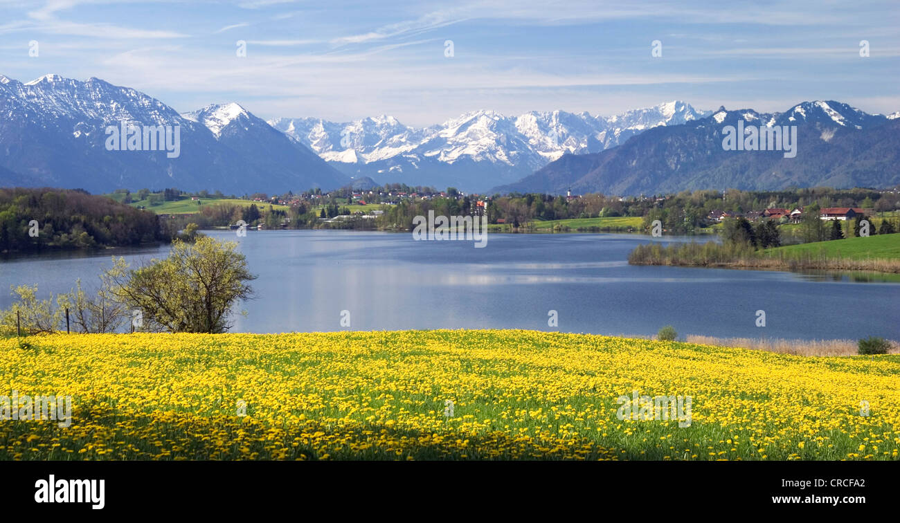 lake Riegsee with Alps, Germany, Bavaria, Oberbayern, Upper Bavaria ...