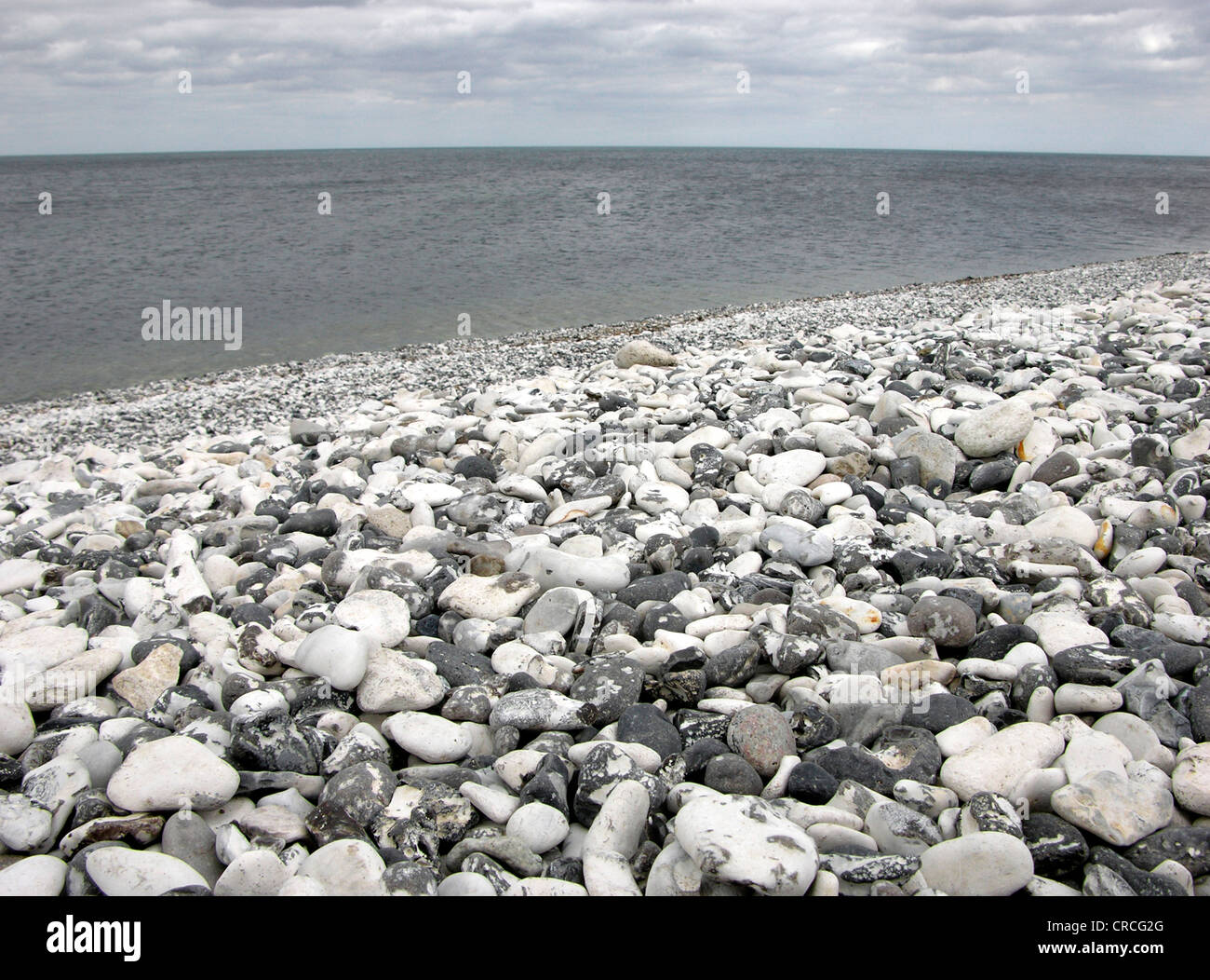 flint stones on the beach, Denmark, Sangstrup Klint Stock Photo - Alamy
