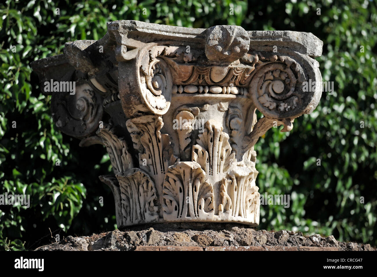 Capital of a Corinthian column, Ostia Antica archaeological site ...