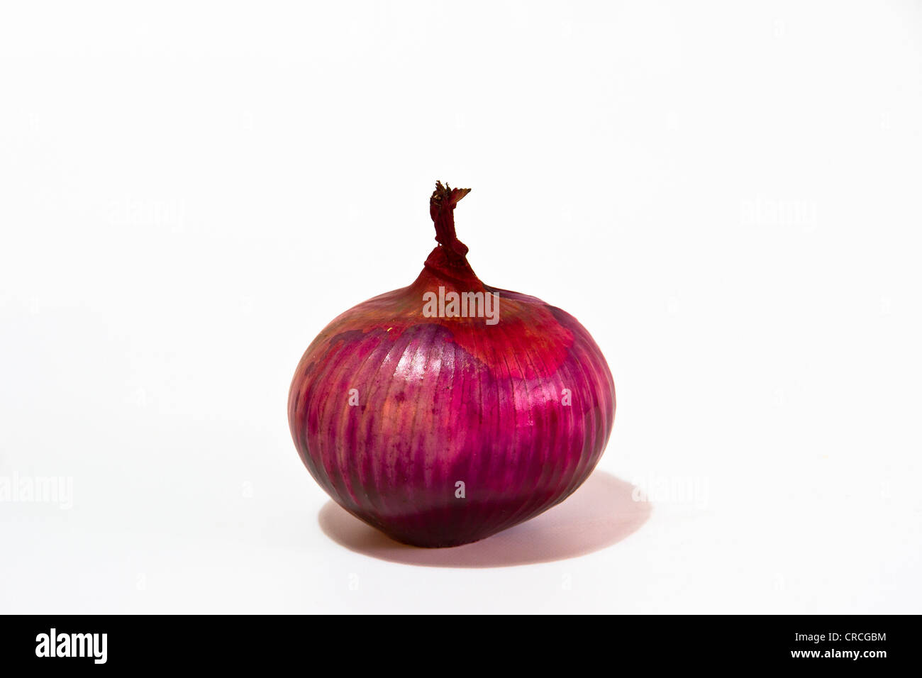 One red onion on a white background Stock Photo - Alamy