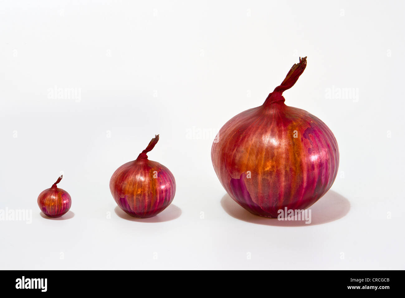 Three red onions on a white background Stock Photo - Alamy