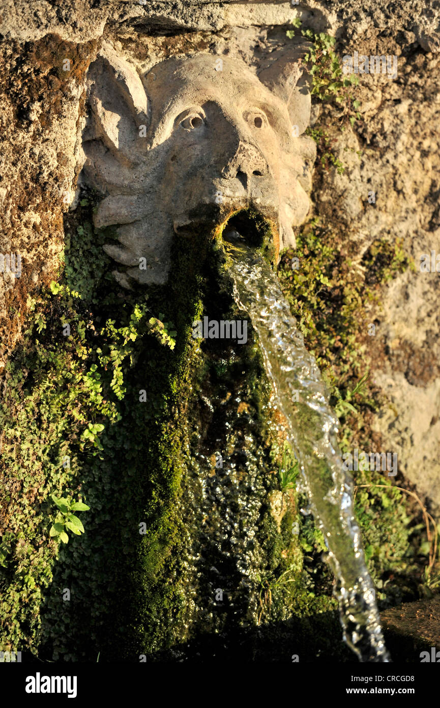 Europe gargoyles faces hi-res stock photography and images - Alamy