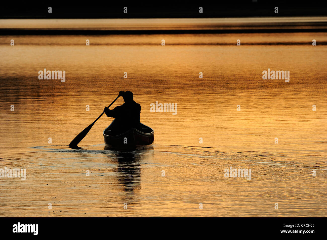 Paddling a canoe on a lake in the evening light, Algonquin Provincial ...