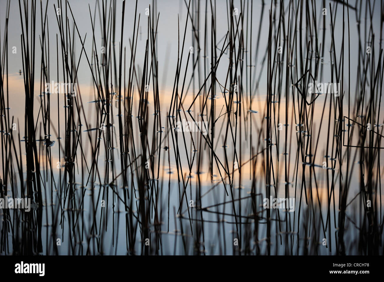 Shallow bodies of water hi-res stock photography and images - Alamy