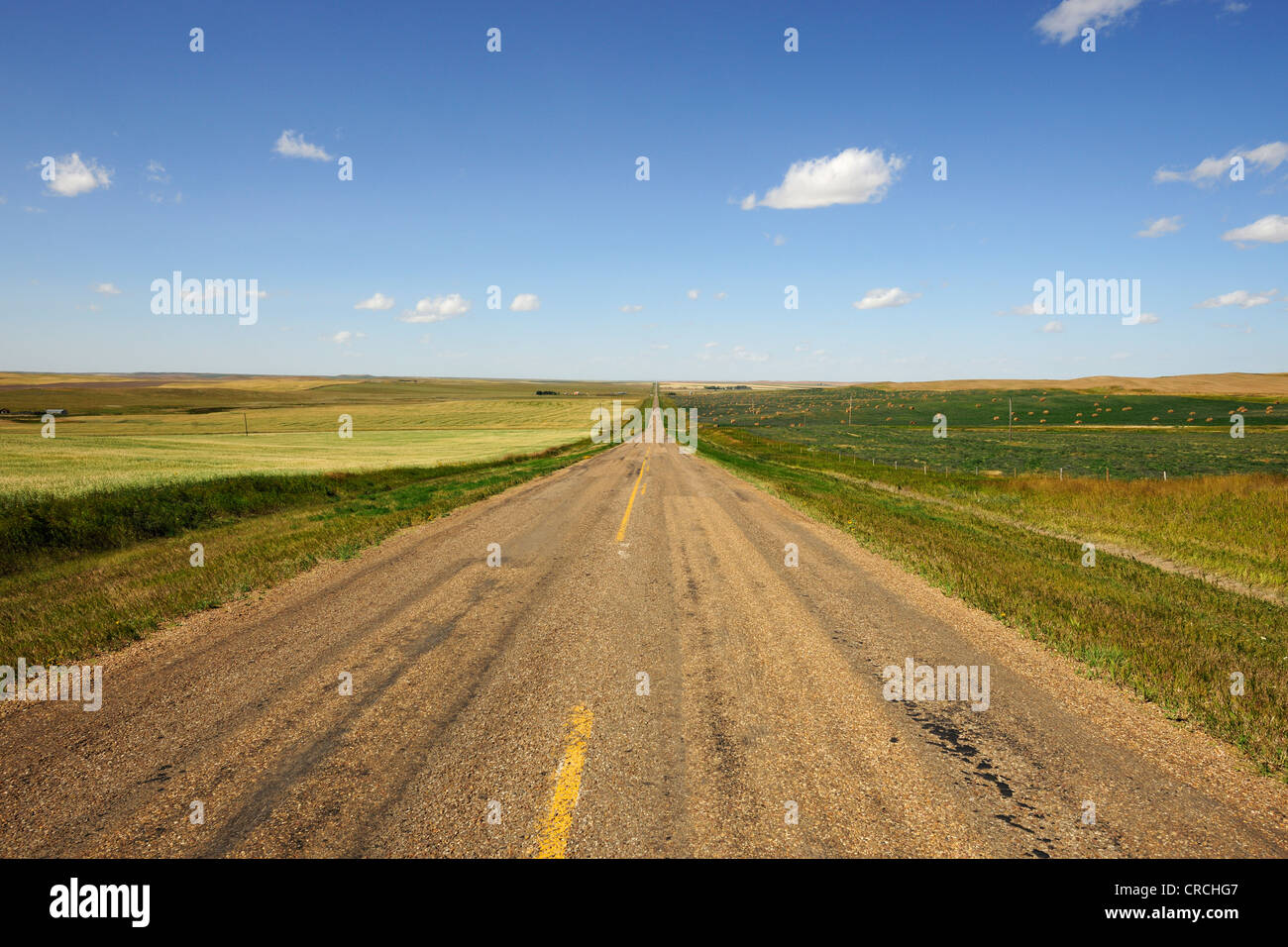Straight road stretching to the horizon, prairie, Saskatchewan, Canada ...