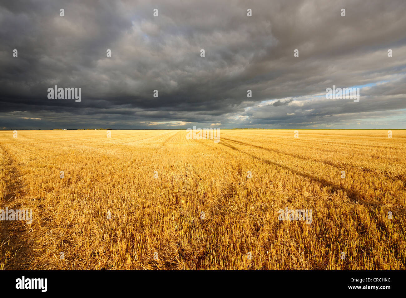 O prairie hi-res stock photography and images - Alamy