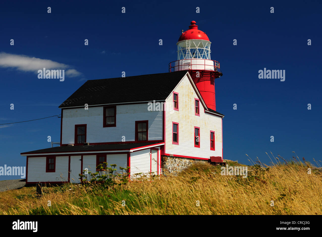 Lighthouse at Ferryland Head, Avalon Peninsula, Newfoundland, Canada ...