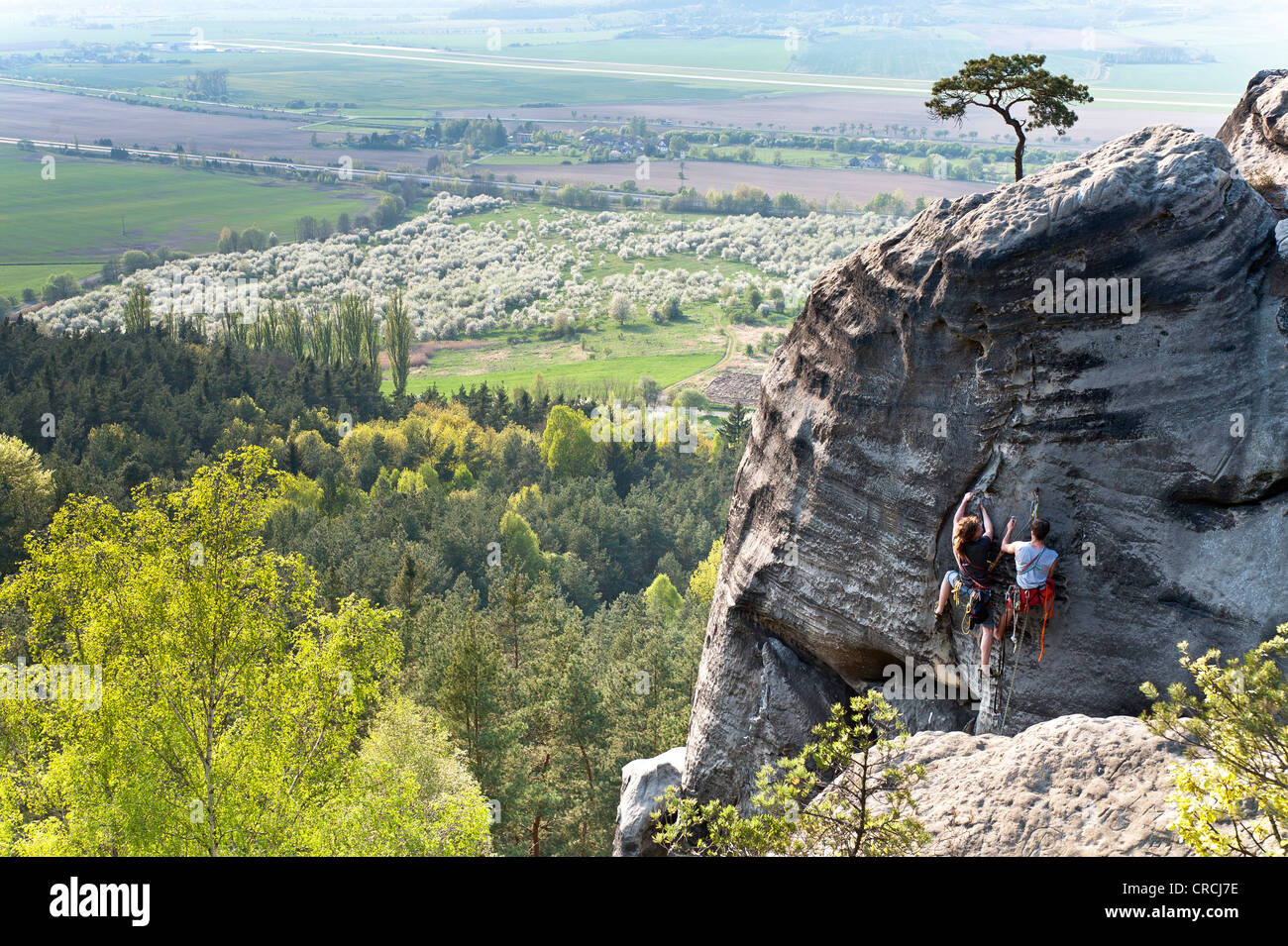 Climber on the sandstone cliffs, Ceskay raj, also known as Czech or ...