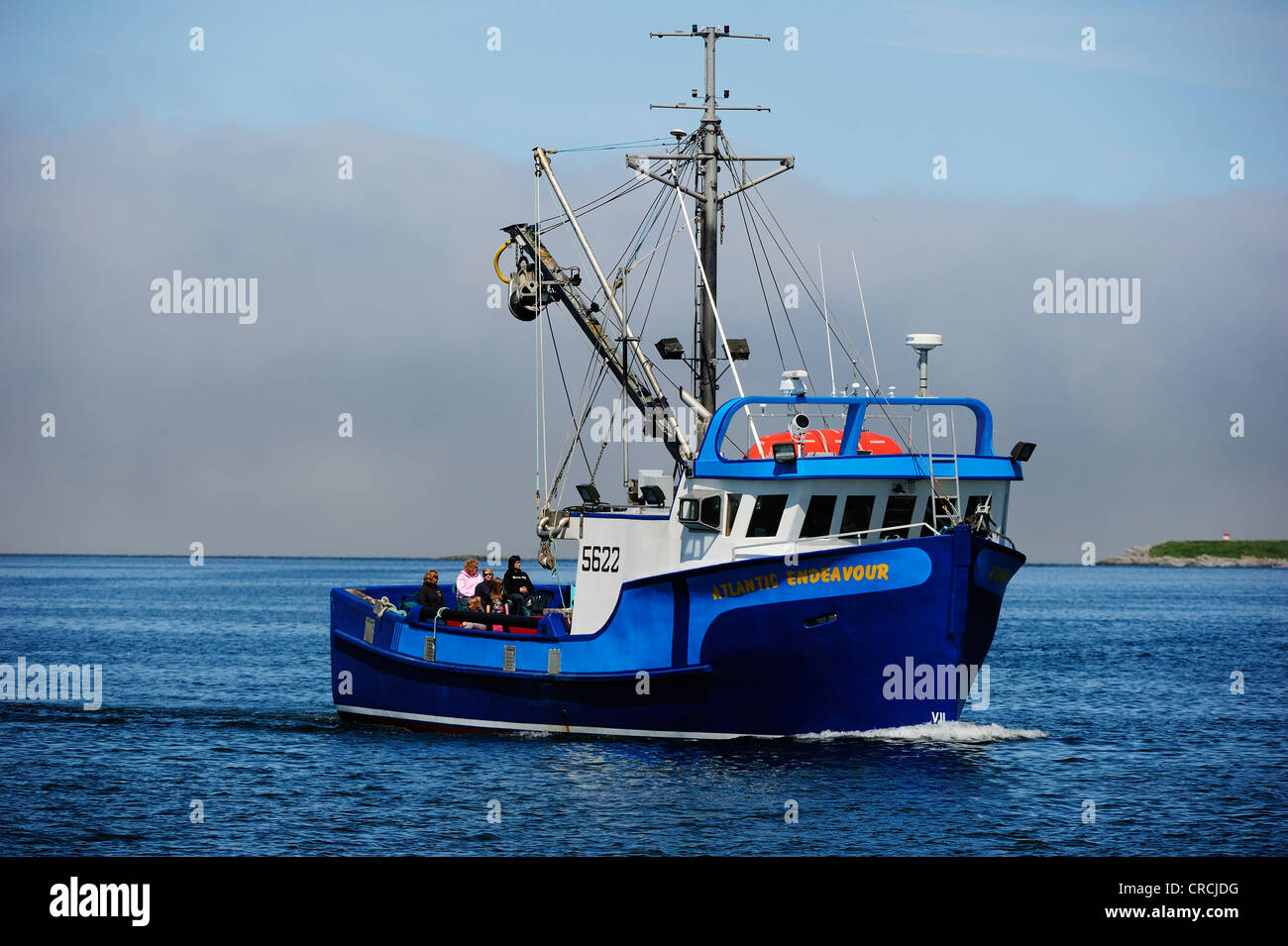 Fishing boat with tourists entering into the harbor, Newfoundland ...