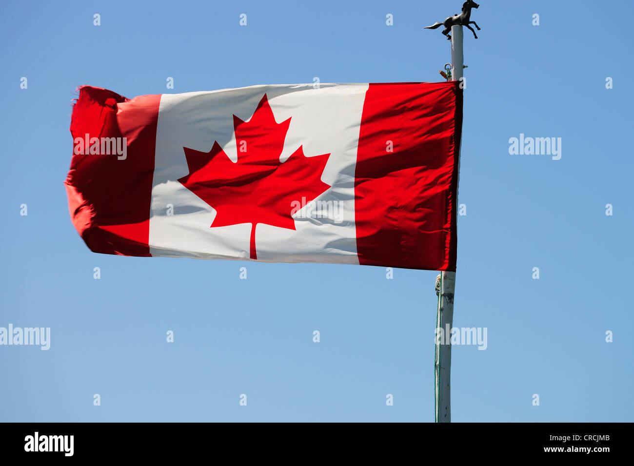 What Is Canada Flag Colors at Tia Curtis blog