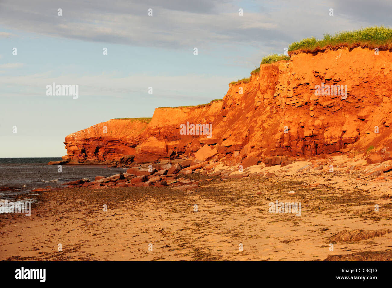 Red sandstone cliffs, typical coastline in Prince Edward Island ...