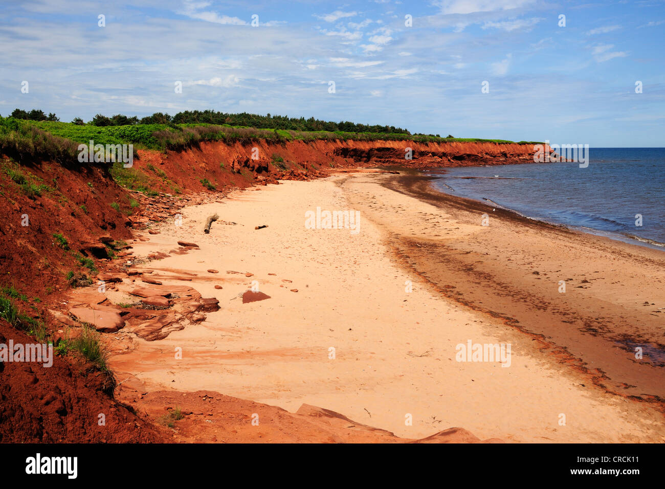 Red sandstone beach in the Prince Edward Island National Park, Prince ...