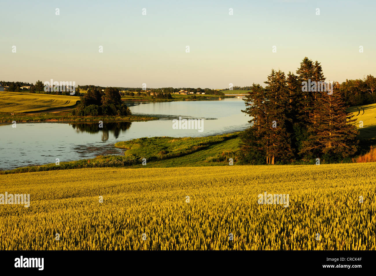 Prince edward island countryside hi-res stock photography and images ...
