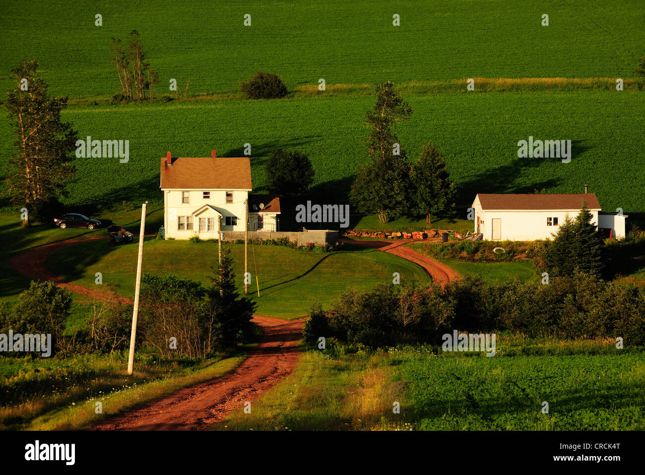 Canada Canadian Farm House High Resolution Stock Photography and Images ...
