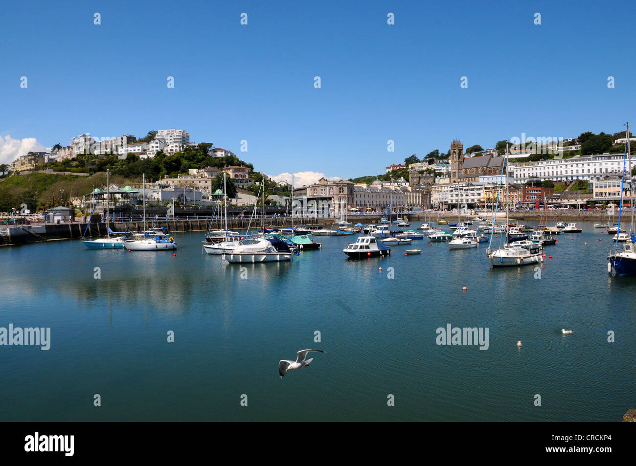 Torquay devon riviera hi-res stock photography and images - Alamy