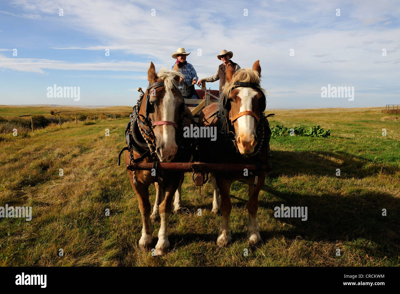 Cowboys hi-res stock photography and images - Alamy