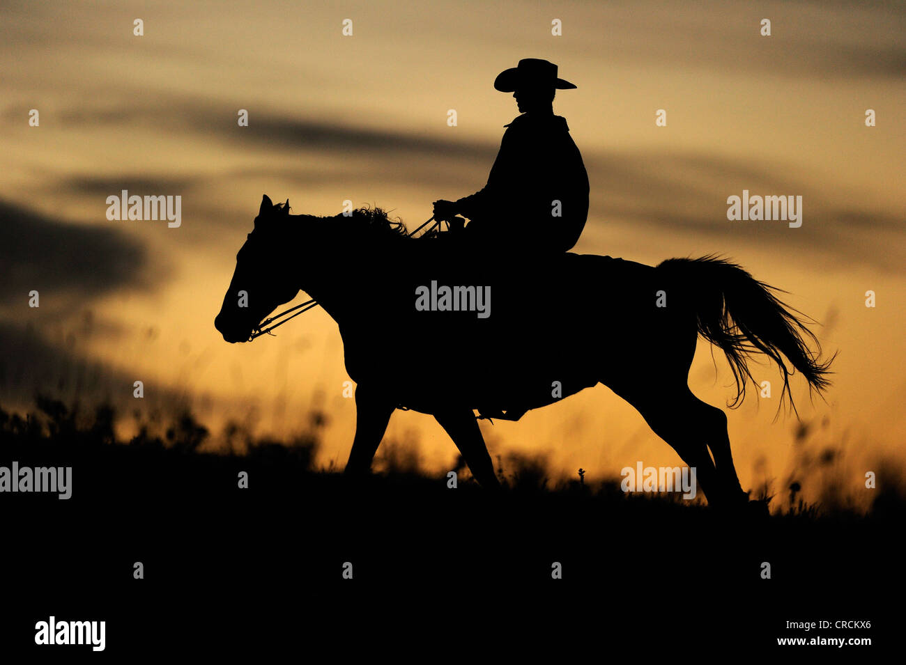 Cowboy Riding Into Sunset Stock Photos & Cowboy Riding Into Sunset ...