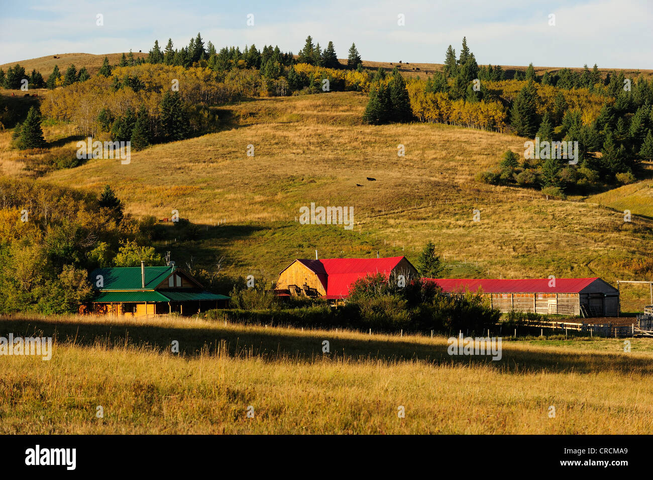Canadian prairie saskatchewan canada hi-res stock photography and ...