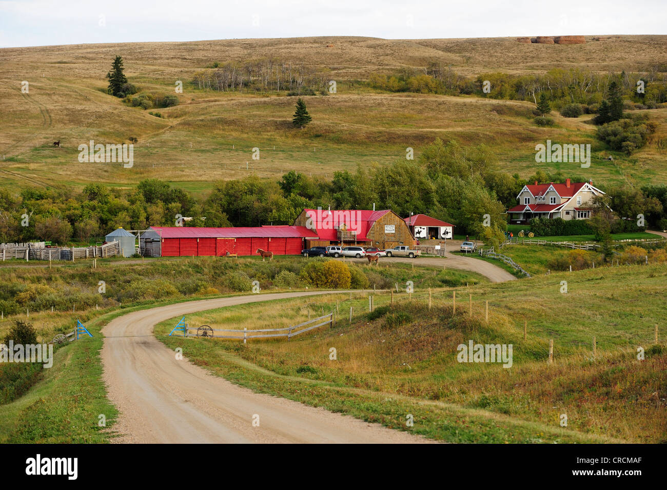 Canadian prairie farm house hi-res stock photography and images - Alamy