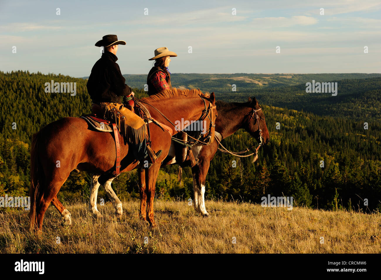 Cowboy and cowgirl sitting on horseback, looking into the distance ...
