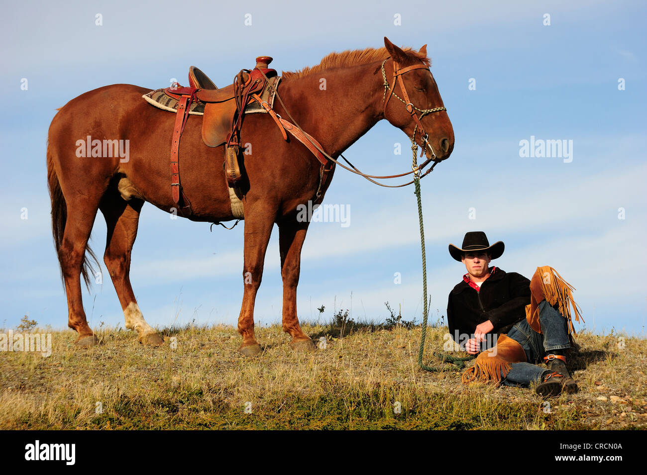 Cowboy sitting on the ground, holding the horse by its reins, looking ...