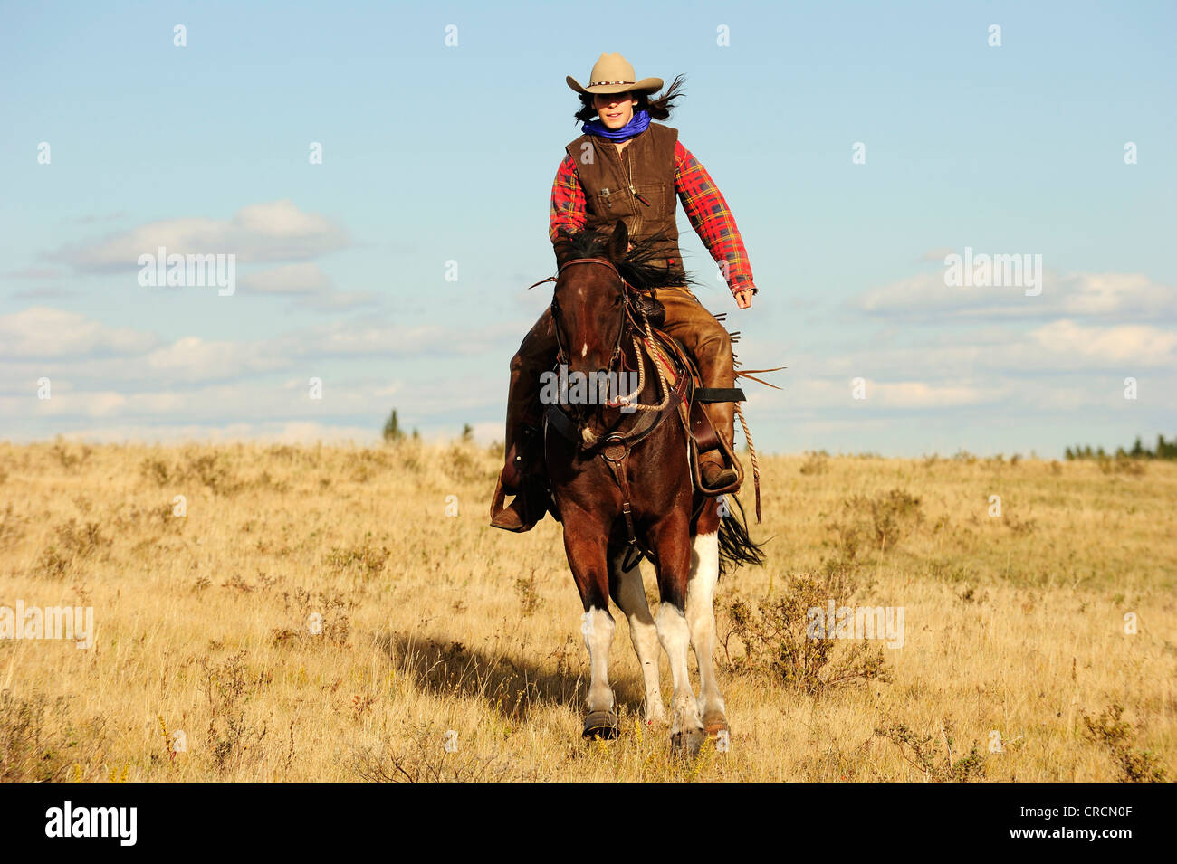 Photos of women horseback riding hi-res stock photography and images ...
