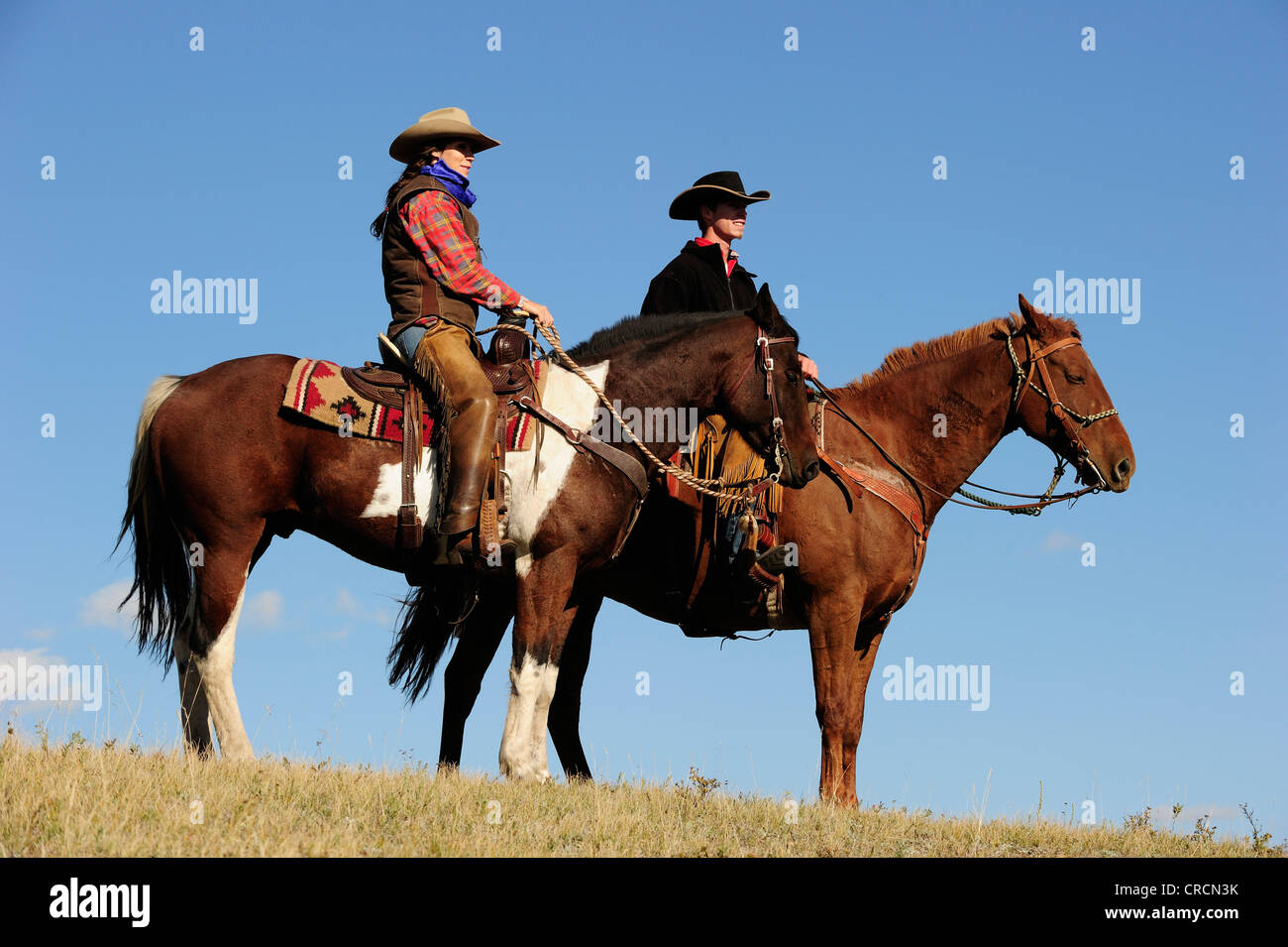 Cowgirl and cowboy on horses looking into the distance, Saskatchewan ...