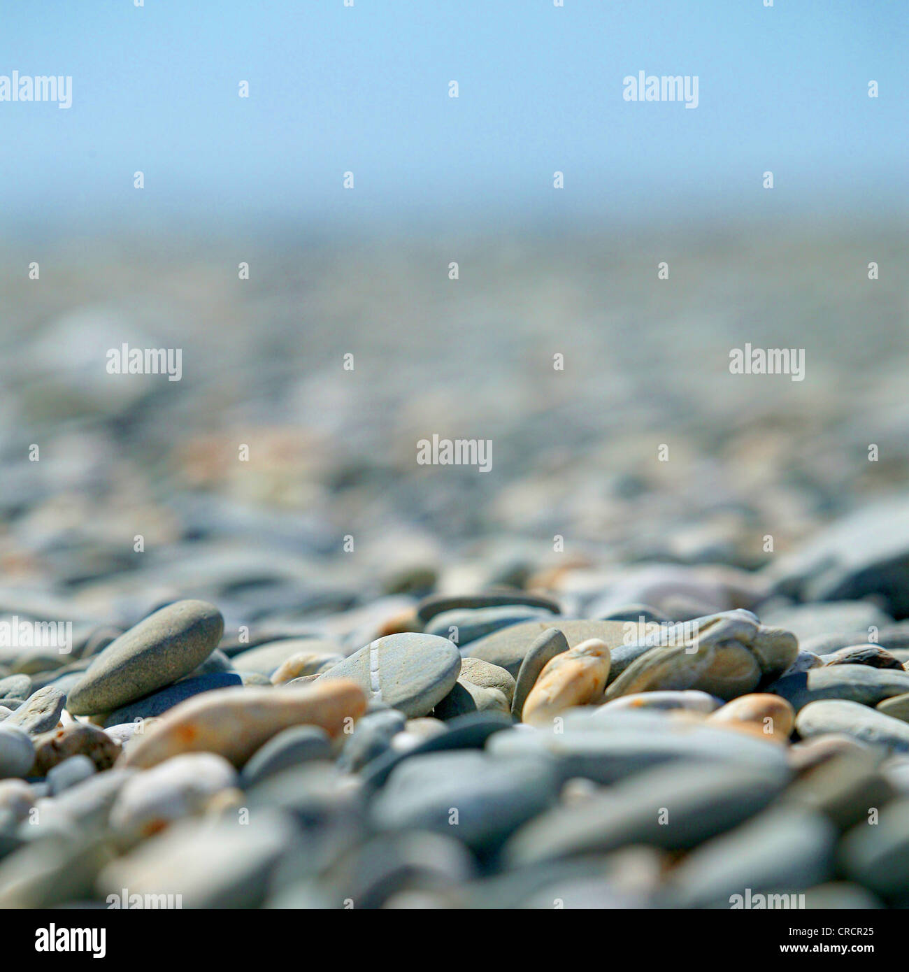 pebbles at a beach, New Zealand Stock Photo - Alamy