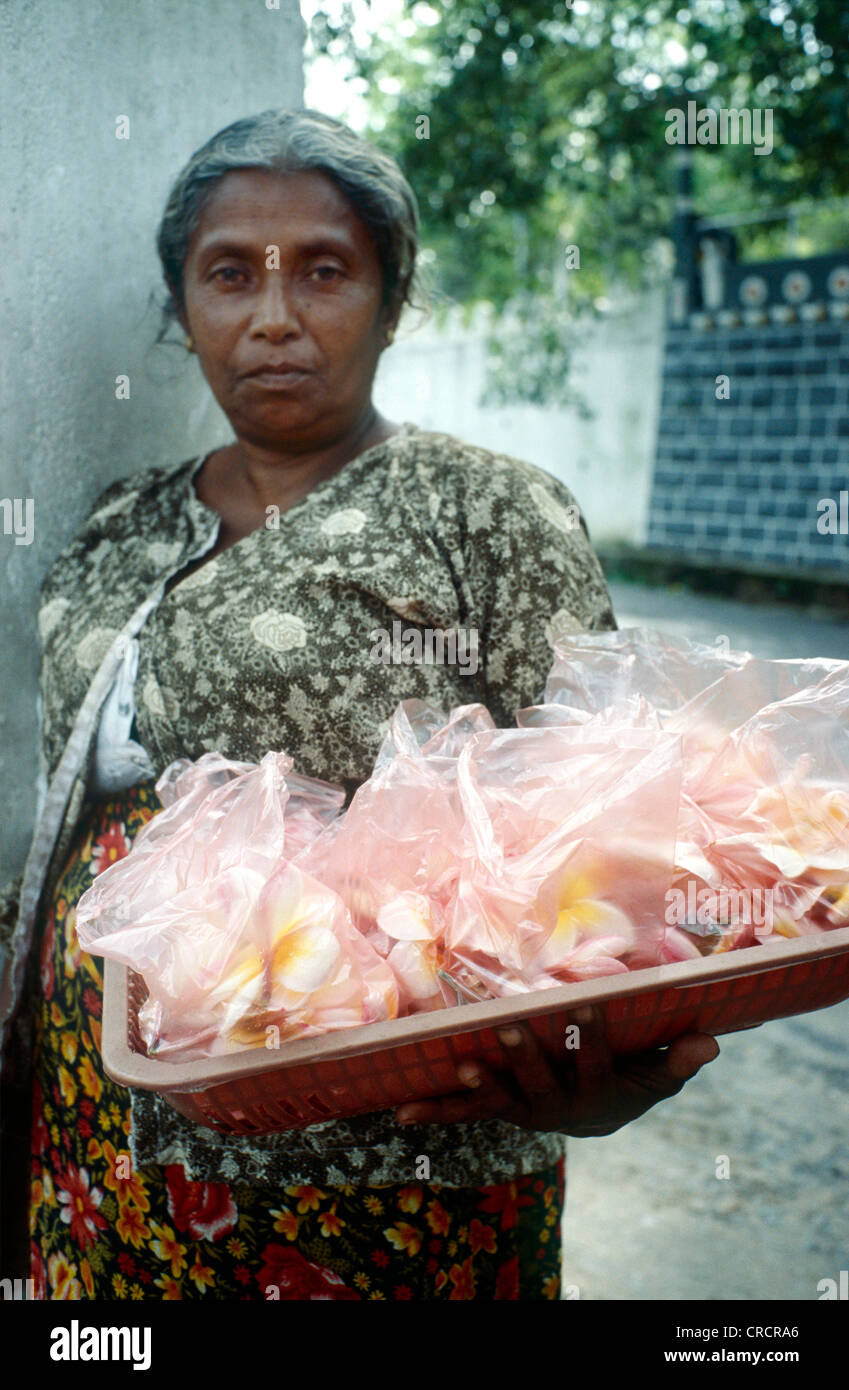 a woman sells Frangipani blossoms in front of the Dova temple, Sri ...