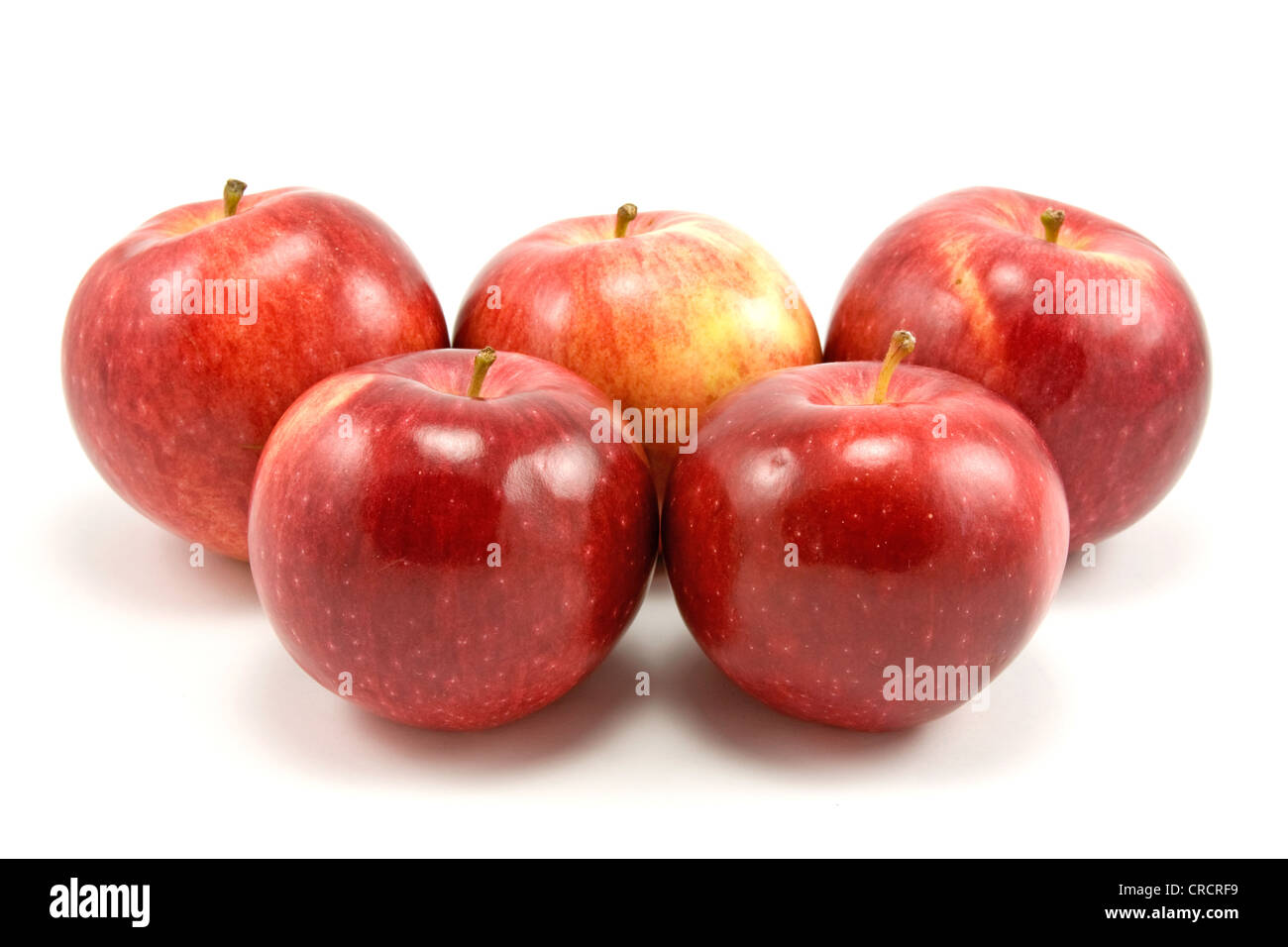 group of red apples on white background Stock Photo - Alamy