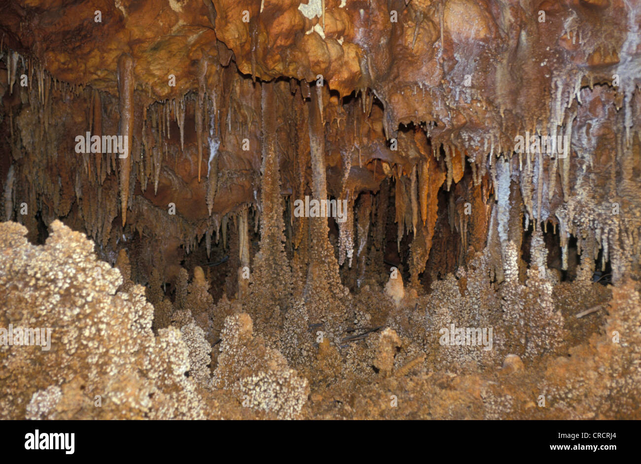 Grotte Aven de la Forestiere, stalactite cave, France Stock Photo - Alamy