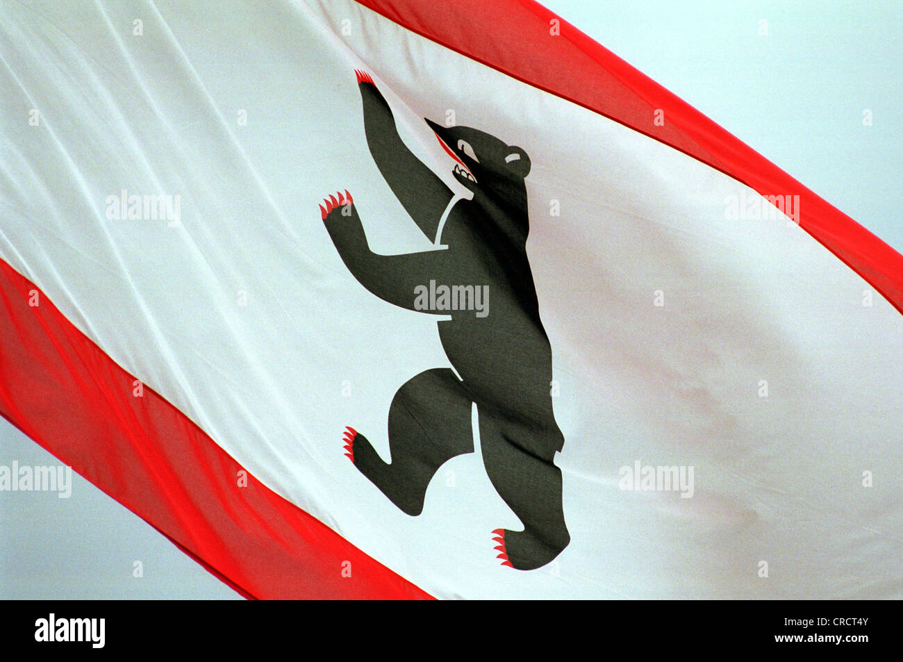 Bears the flag hi-res stock photography and images - Alamy