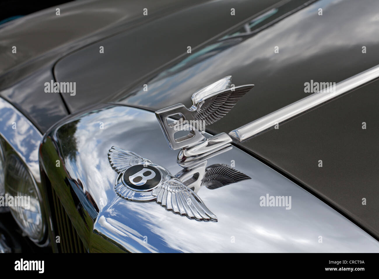 Bonnet emblem on a classic Bentley saloon Stock Photo - Alamy