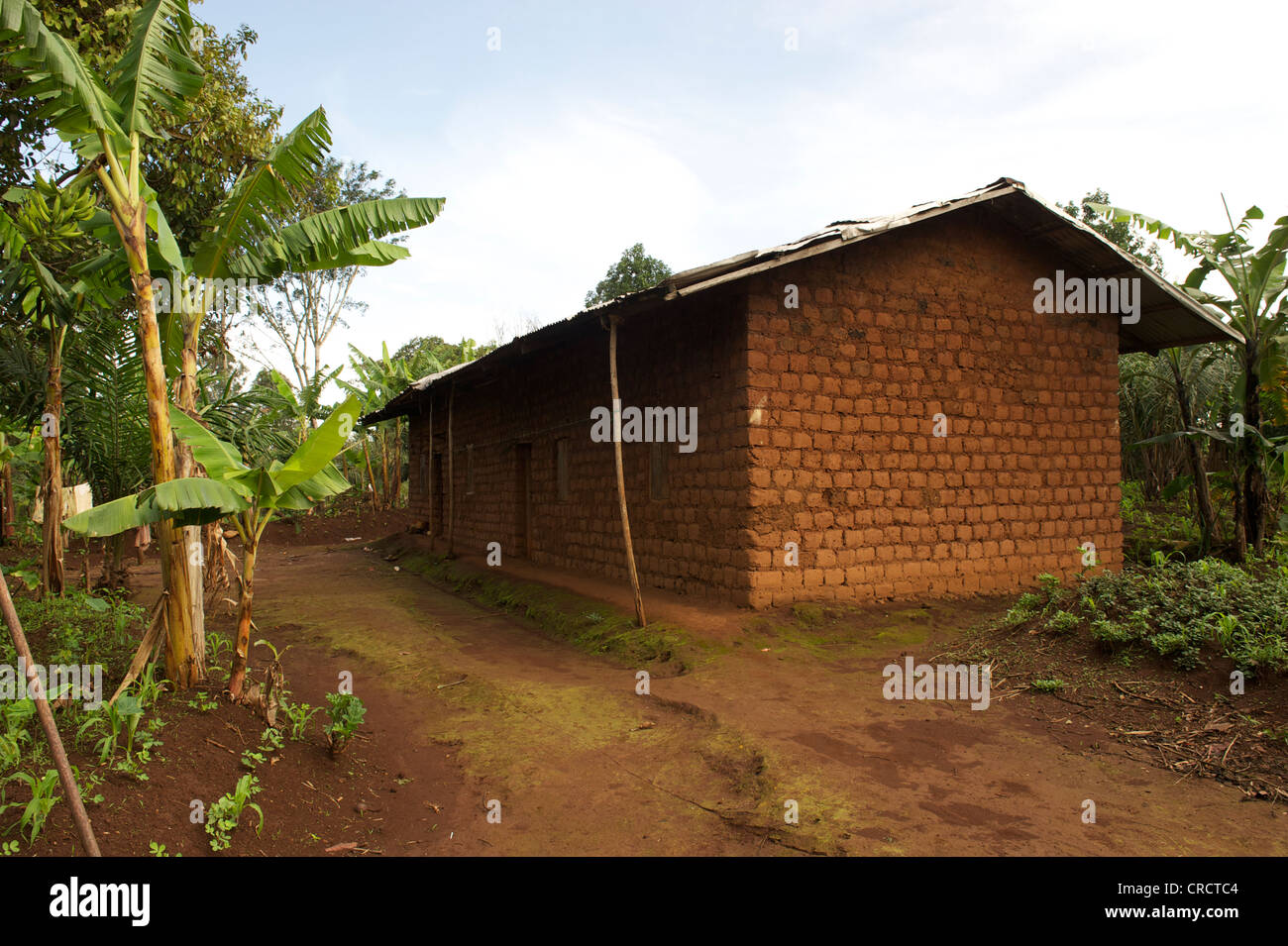 Farm, Bamenda, Cameroon, Africa Stock Photo - Alamy